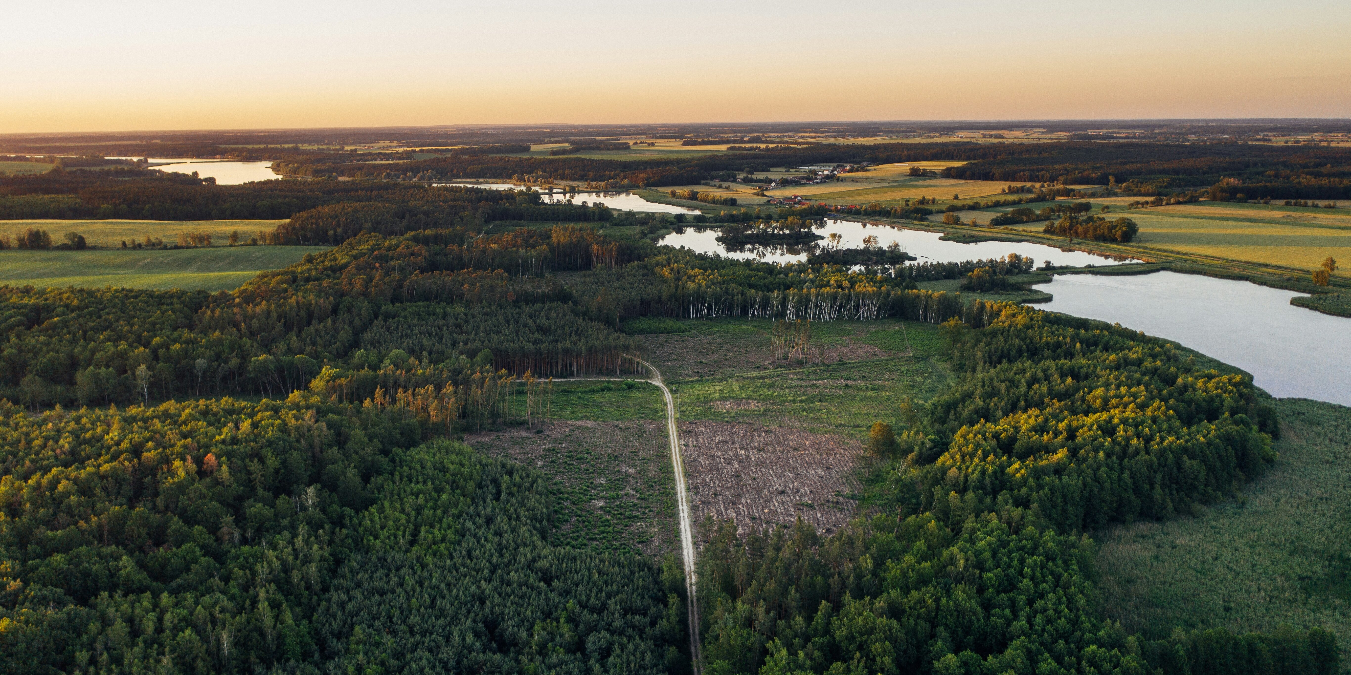 WBCSD’s Nature Action Portal: a new tool for navigating nature metrics ...