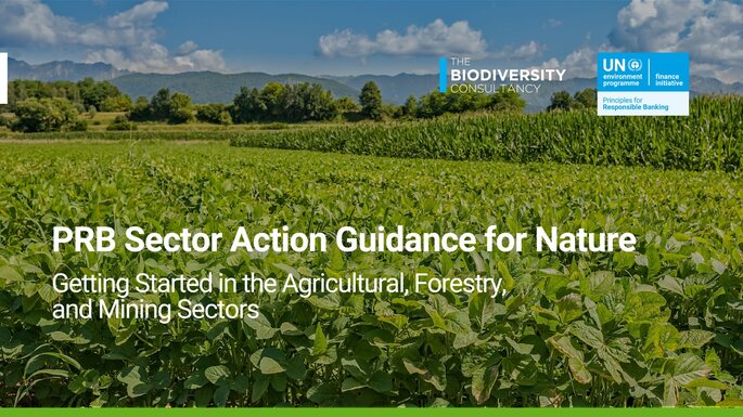 The Biodiversity Consultancy and UNEP-FI launched PRB Sector Action ...